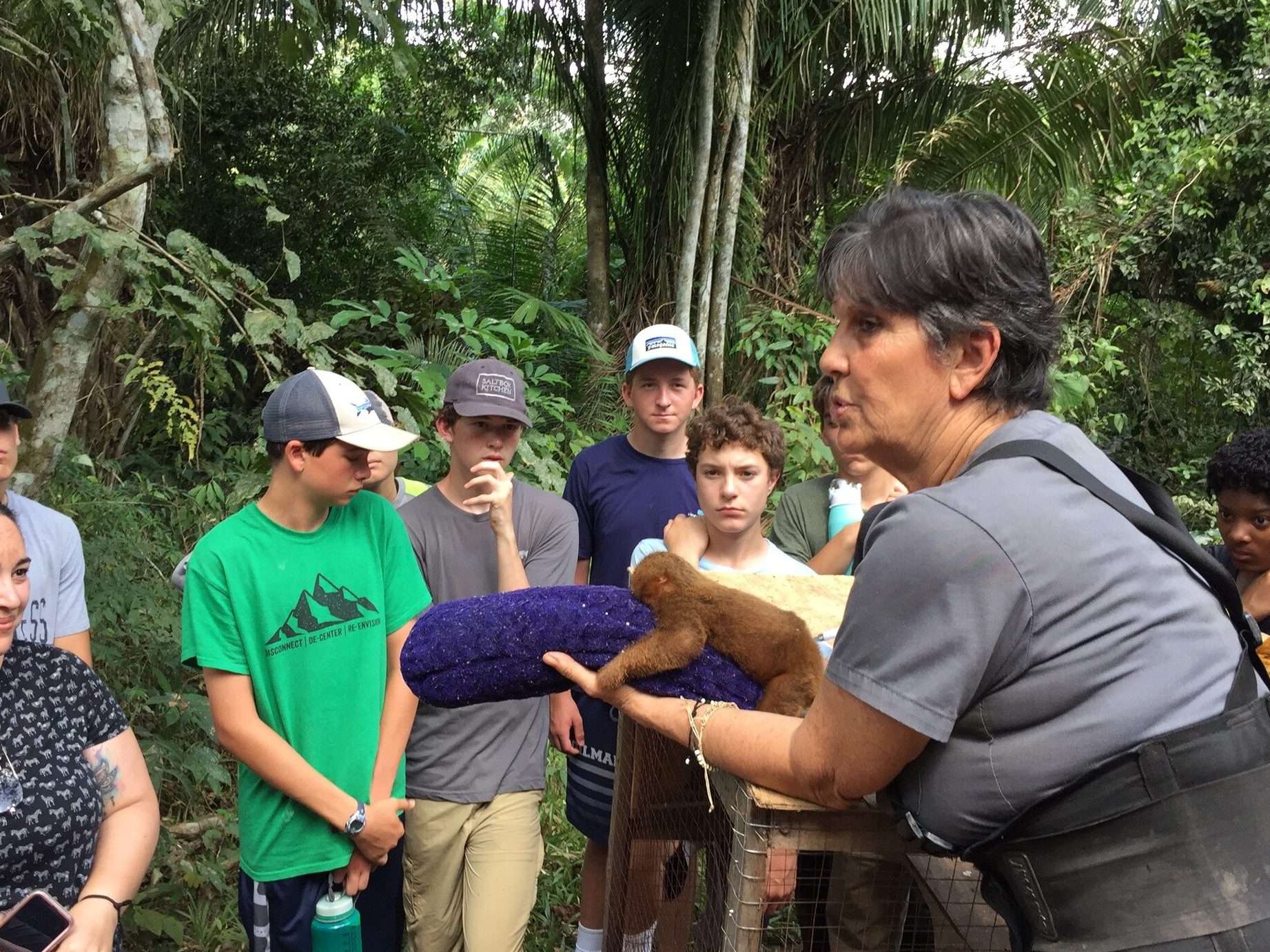 Amazon Shelter 【INFO】 ️ [ 2025 ]